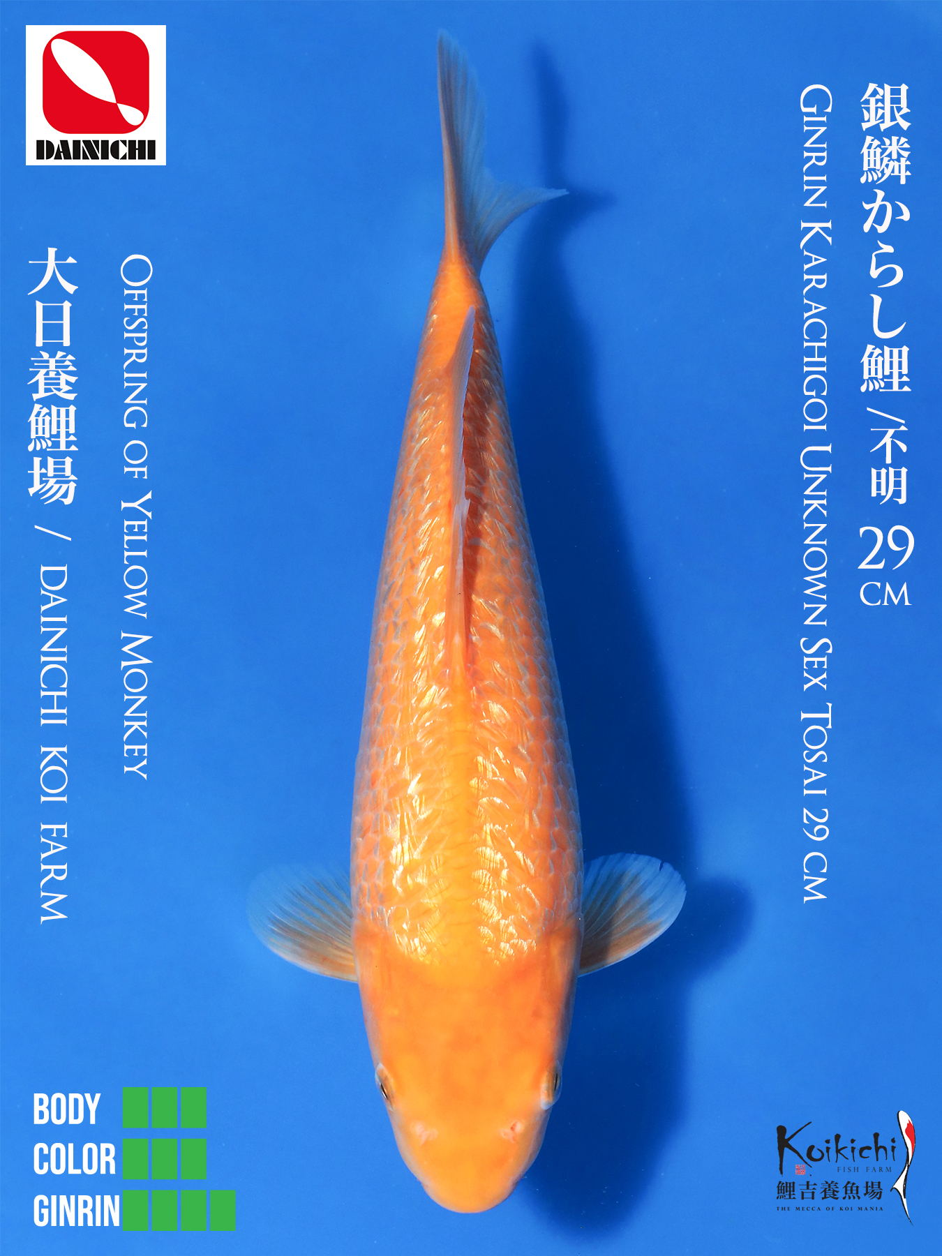 กิจกรรม